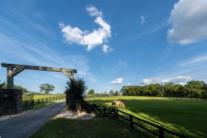 The High Road Ranch offers well-bred and well-handled AQHA and APHA ...